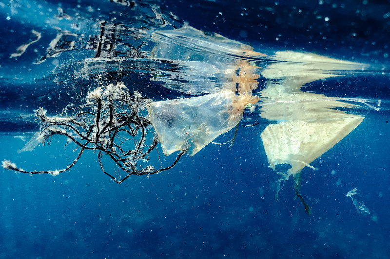 Top Countries Causing Ocean Plastic Pollution